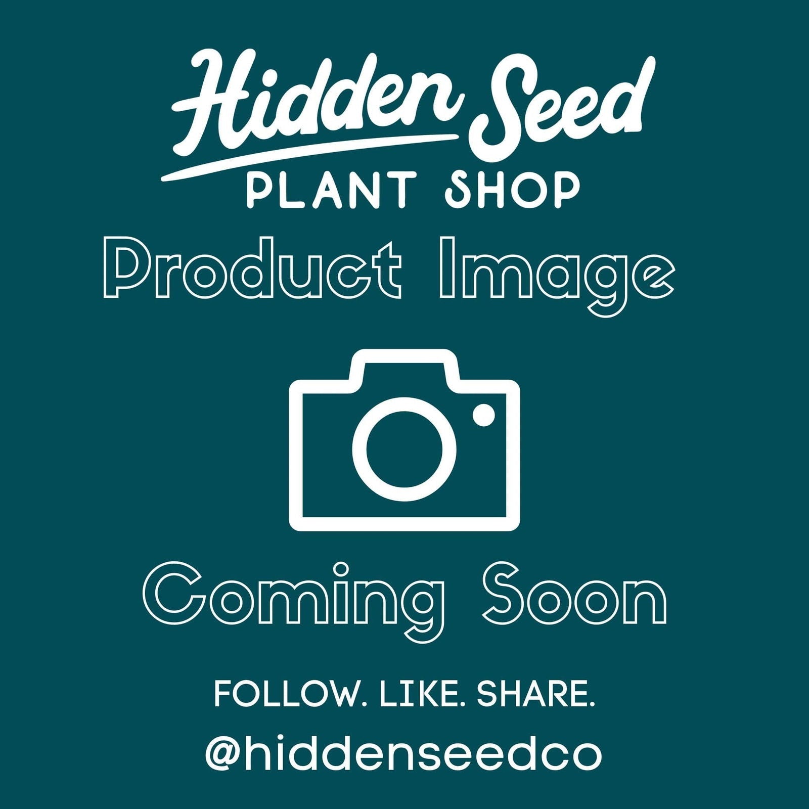 ProductDrop - – Hidden Seed Plant Shop