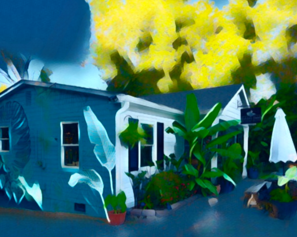 Rare & Easy-Care Plants | Hidden Seed Co. | Nashville Area Plant Shop ...